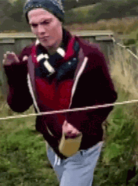 Fence GIFs - Get the best gif on GIFER