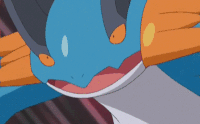 Mudkip GIFs - Get the best gif on GIFER