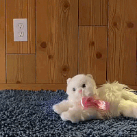Cubicle GIFs - Get the best gif on GIFER
