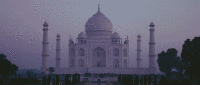 India GIFs - Get the best gif on GIFER