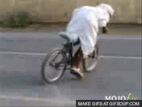 Arabs GIFs - Get the best gif on GIFER