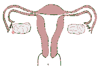 Pregnancy GIFs - Get the best gif on GIFER