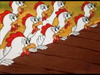 Roosters GIFs - Get the best gif on GIFER