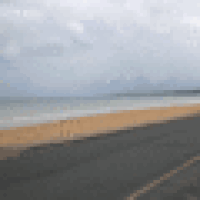 Footprints GIFs - Get the best gif on GIFER