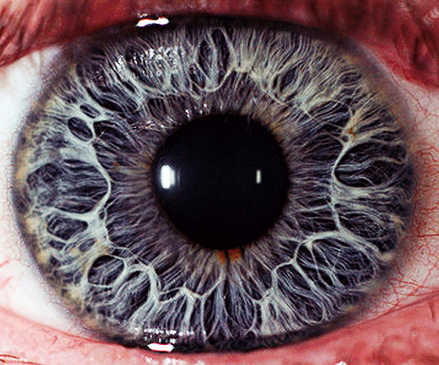 Ojos GIFs - Get the best gif on GIFER