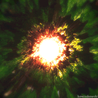 Deforestation GIFs - Get the best gif on GIFER