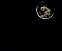 Module GIFs - Get the best gif on GIFER