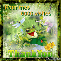 5000 GIFs - Get the best gif on GIFER