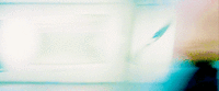 Tris prior GIF - Conseguir o melhor gif em GIFER