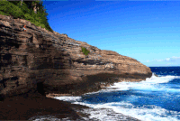 Hawai GIFs - Get the best gif on GIFER