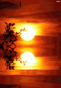 209 GIFs - Get the best gif on GIFER