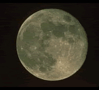 Mond GIFs - Get the best gif on GIFER