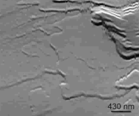 Microscope GIFs - Get the best gif on GIFER