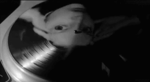 Visual metaphor GIF - Conseguir o melhor gif em GIFER