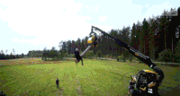 Logging GIFs - Get the best gif on GIFER