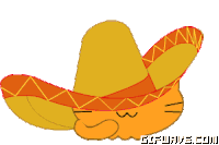 Sombreros GIFs - Get the best gif on GIFER