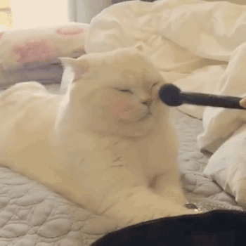 Makeup GIFs - Get the best gif on GIFER