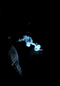 Crossfire GIFs - Get the best gif on GIFER