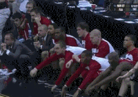 Wolfpack GIFs - Get the best gif on GIFER