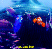 Finding nemo franchise GIF - Conseguir o melhor gif em GIFER