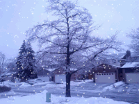 Freezing GIFs - Get the best gif on GIFER