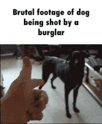 Burglar GIFs - Obtenez le meilleur gif sur GIFER