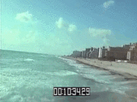 Miami beach GIFs - Get the best gif on GIFER