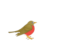 Pajaro GIF - Conseguir el mejor gif en GIFER