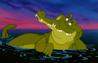 Alligator GIFs - Get the best gif on GIFER