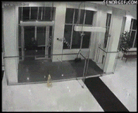 Youth GIFs - Get the best gif on GIFER