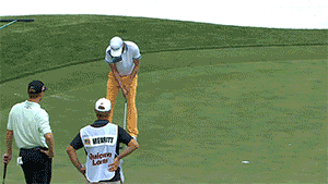 Wswch GIF - Conseguir o melhor gif em GIFER