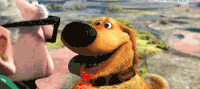 Distractions GIFs - Get the best gif on GIFER