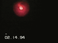 Vhs tapes GIFs - Get the best gif on GIFER