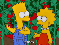 Tomacco GIFs - Get the best gif on GIFER