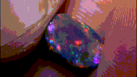 Opal GIFs - Get the best gif on GIFER