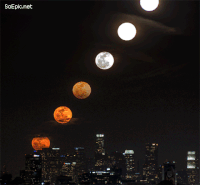 Vollmond GIFs - Get the best gif on GIFER