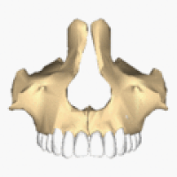 Snapshot GIFs - Get the best gif on GIFER