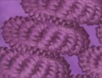 Histone GIFs - Obtenez le meilleur gif sur GIFER