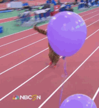 Tracks GIFs - Get the best gif on GIFER
