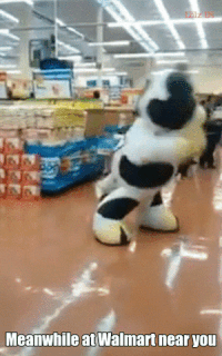 Walmart GIFs - Get the best gif on GIFER