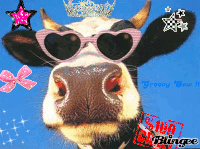 Groovy GIFs - Get the best gif on GIFER