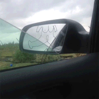 Immature GIFs - Get the best gif on GIFER