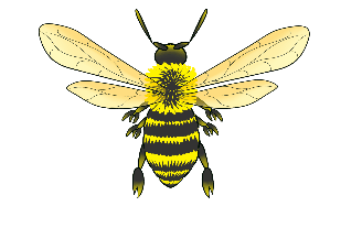 Bumble bee GIF - Conseguir el mejor gif en GIFER