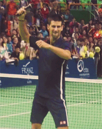 Djokovic GIFs - Get the best gif on GIFER