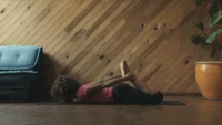 Standard GIFs - Get the best gif on GIFER