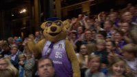 Bbl GIFs - Get the best gif on GIFER