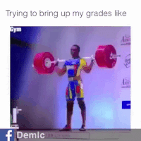 Grades GIFs - Get the best gif on GIFER