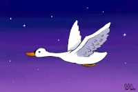 Fly GIFs - Get the best gif on GIFER