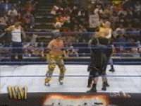 Handle GIFs - Get the best gif on GIFER