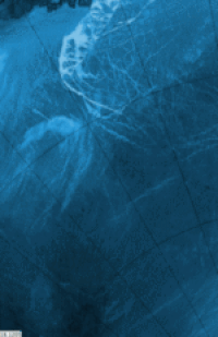 Arctic GIFs - Get the best gif on GIFER